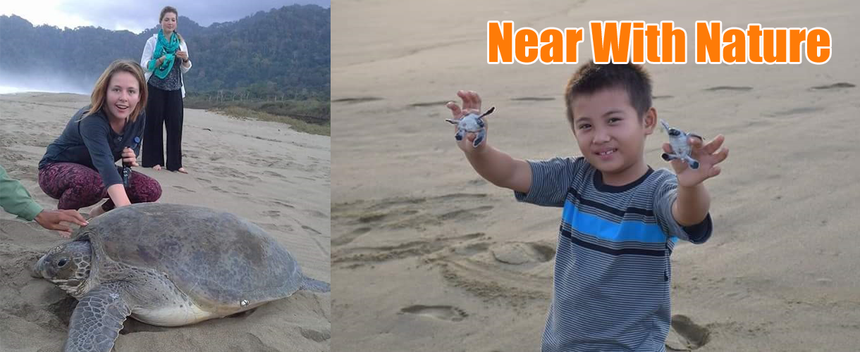 Sukamade Trip, You Can Try Different Experience Adventure in Sukamade ...